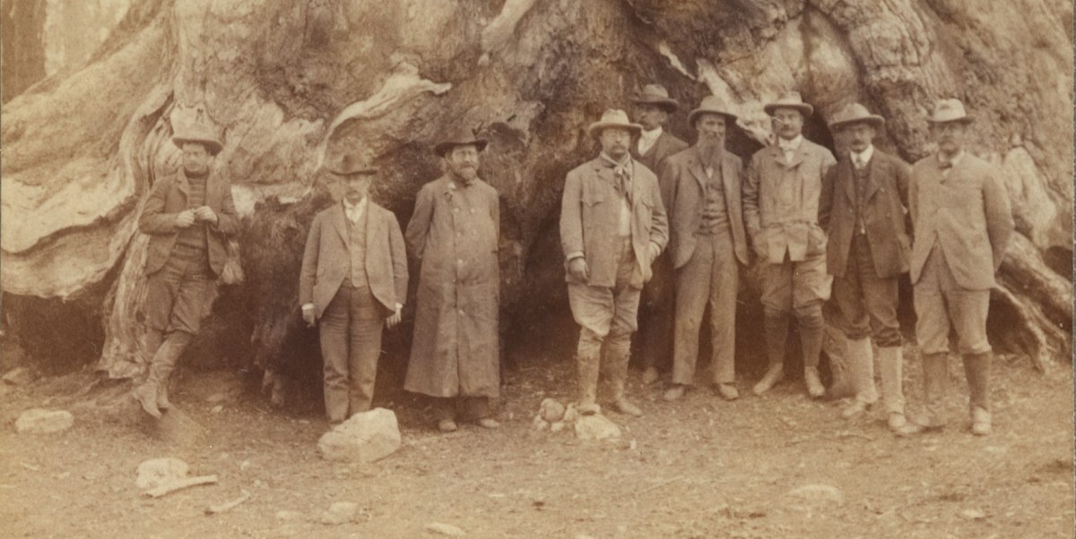 Theodore Roosevelt and Nature – Andrew J. Bramlett